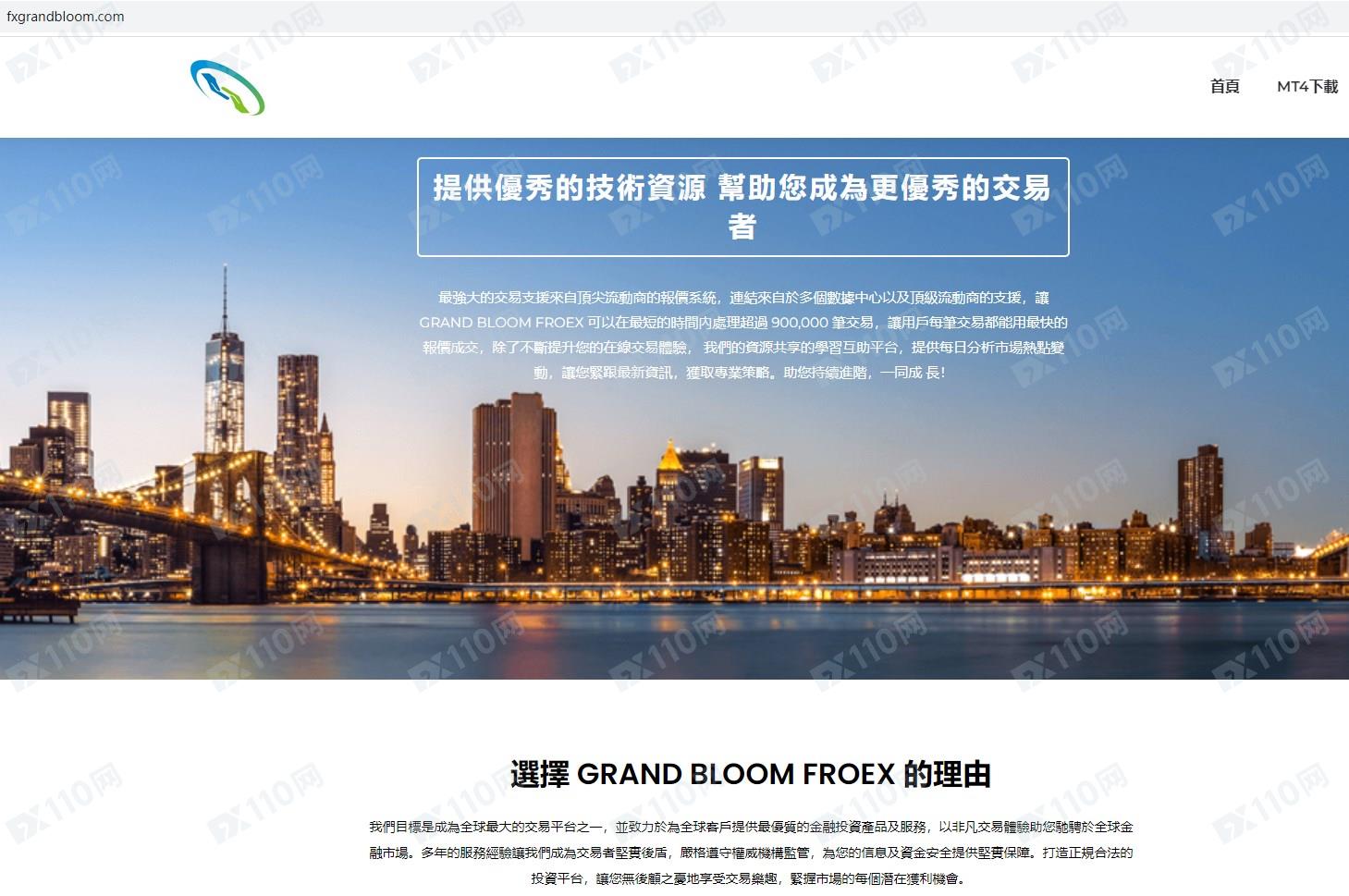 GRAND BLOOM FROEX黑平台-FX110网